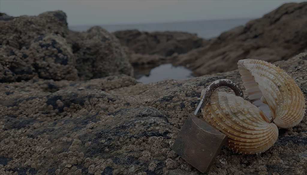 shuck.sh | Shuck hash before trying to crack it